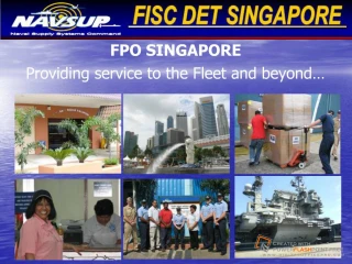 PPT - Proposed structure of FPO network PowerPoint Presentation, free ...