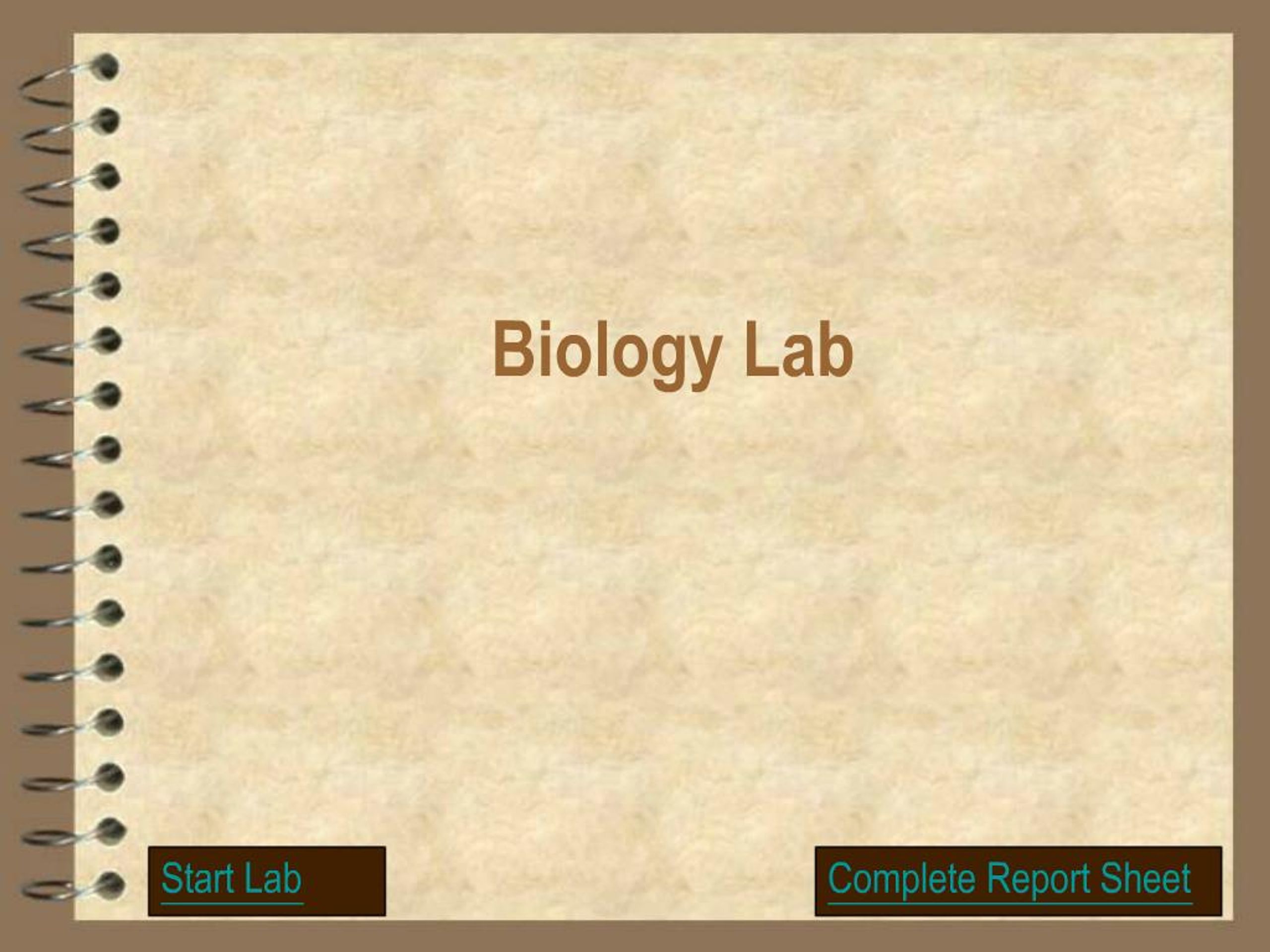 PPT - Biology Lab PowerPoint Presentation, free download - ID:1005595