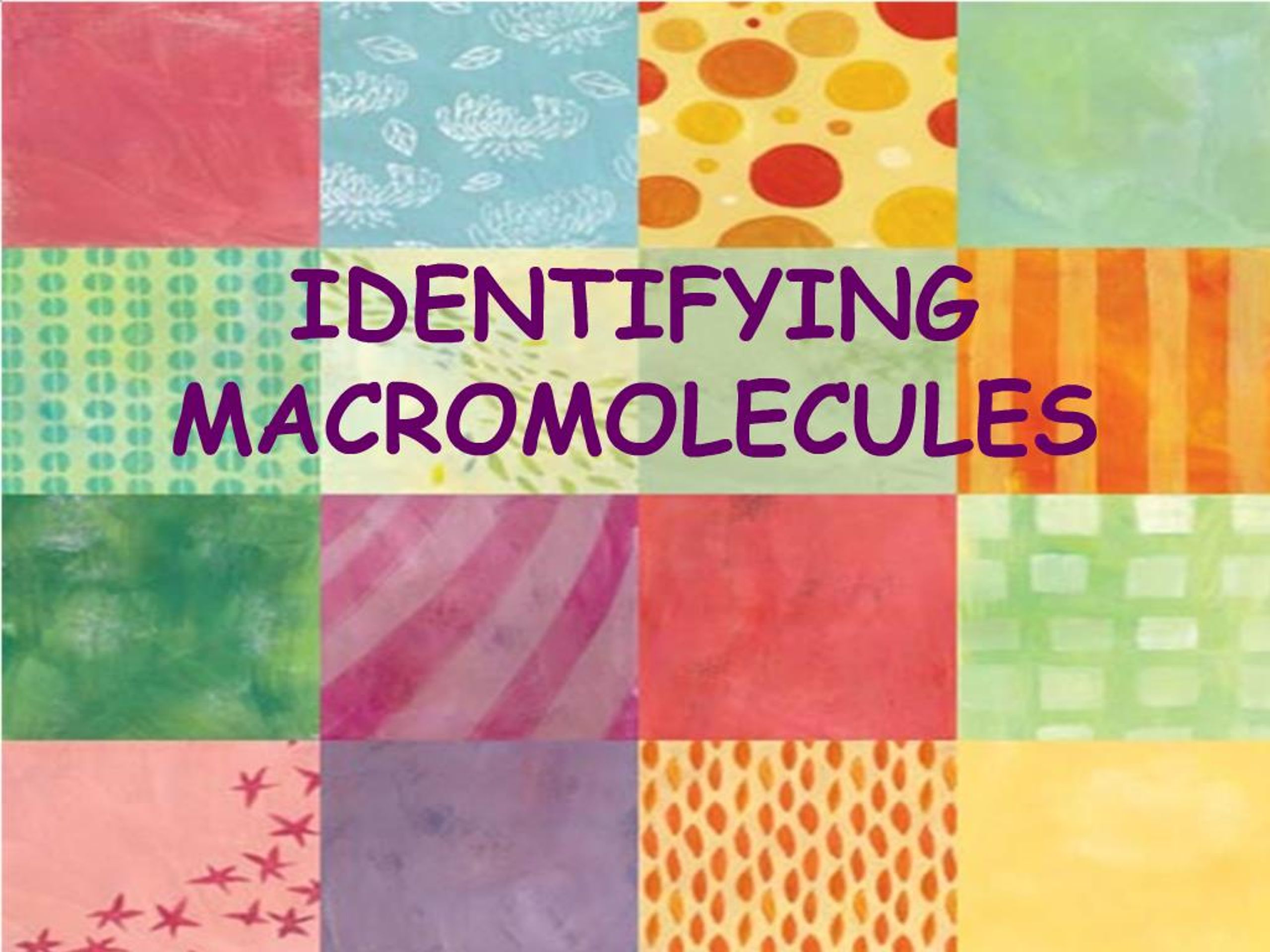 PPT - IDENTIFYING MACROMOLECULES PowerPoint Presentation, free download ...
