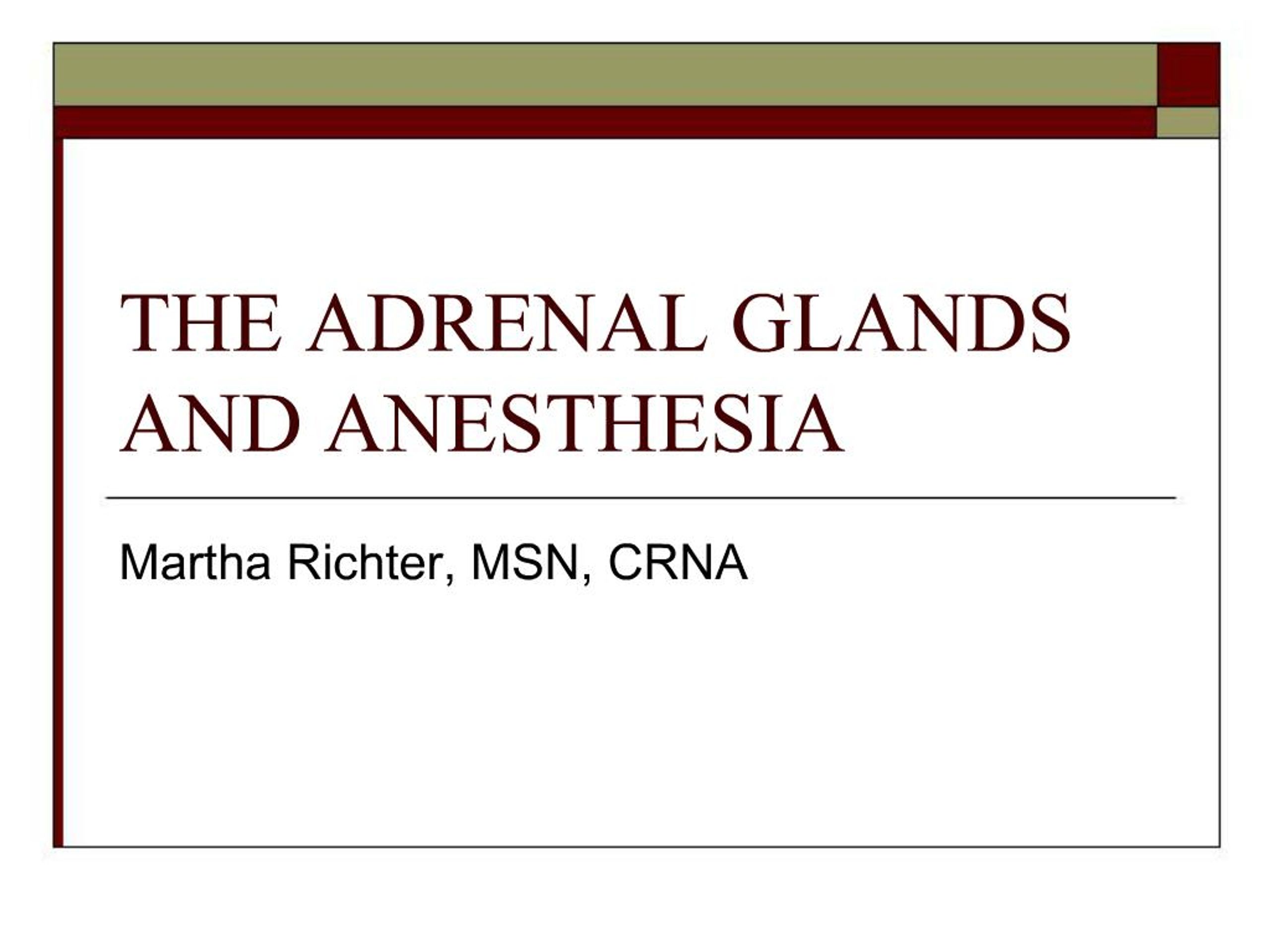 PPT - THE ADRENAL GLANDS AND ANESTHESIA PowerPoint Presentation, free ...
