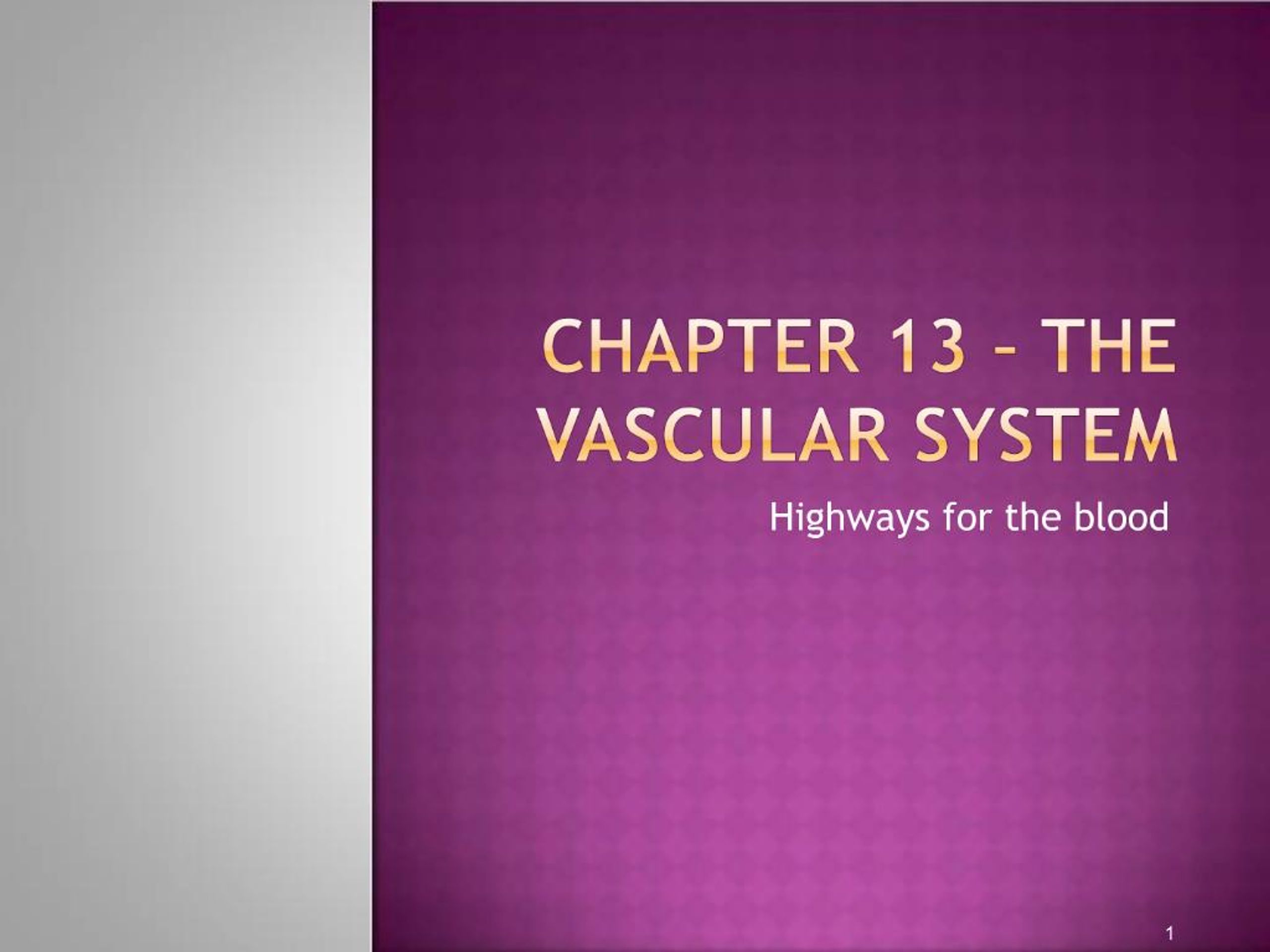PPT - Chapter 13 The Vascular System PowerPoint Presentation, free ...
