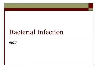 PPT - Bacterial Skin Infection PowerPoint Presentation, free download ...