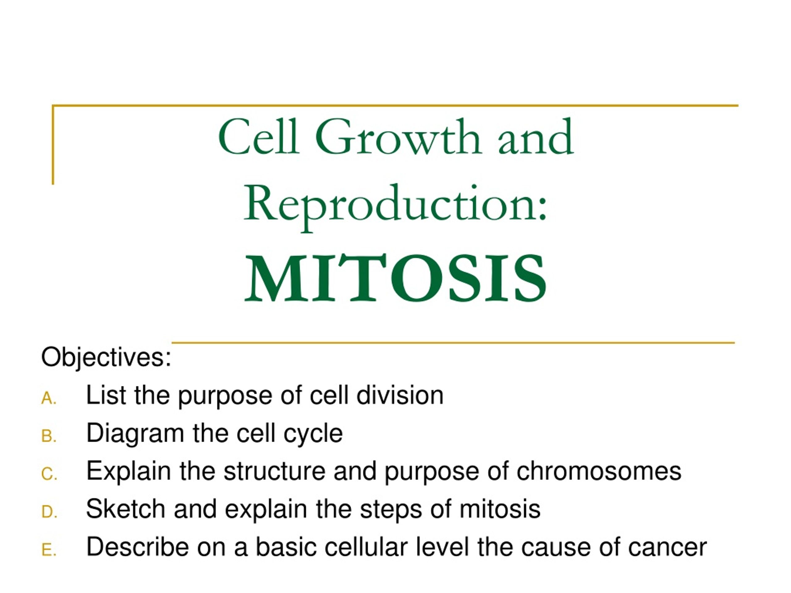 PPT - Cell Growth and Reproduction: MITOSIS PowerPoint Presentation ...