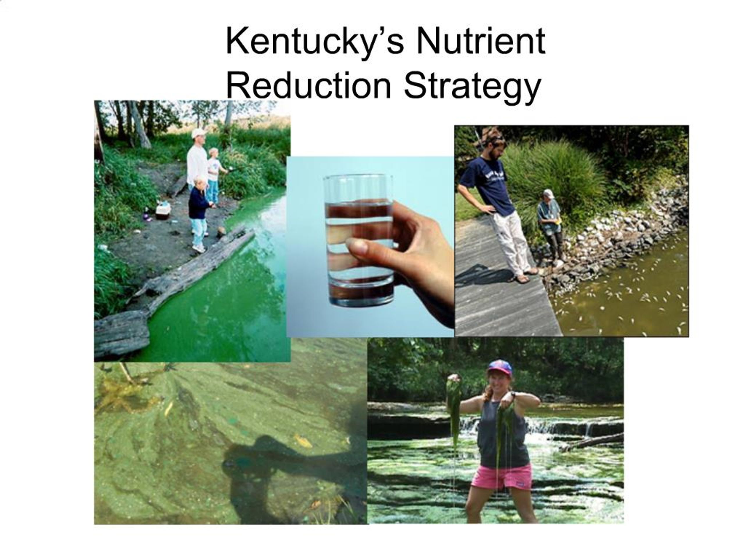 PPT - Kentucky s Nutrient Reduction Strategy PowerPoint Presentation ...