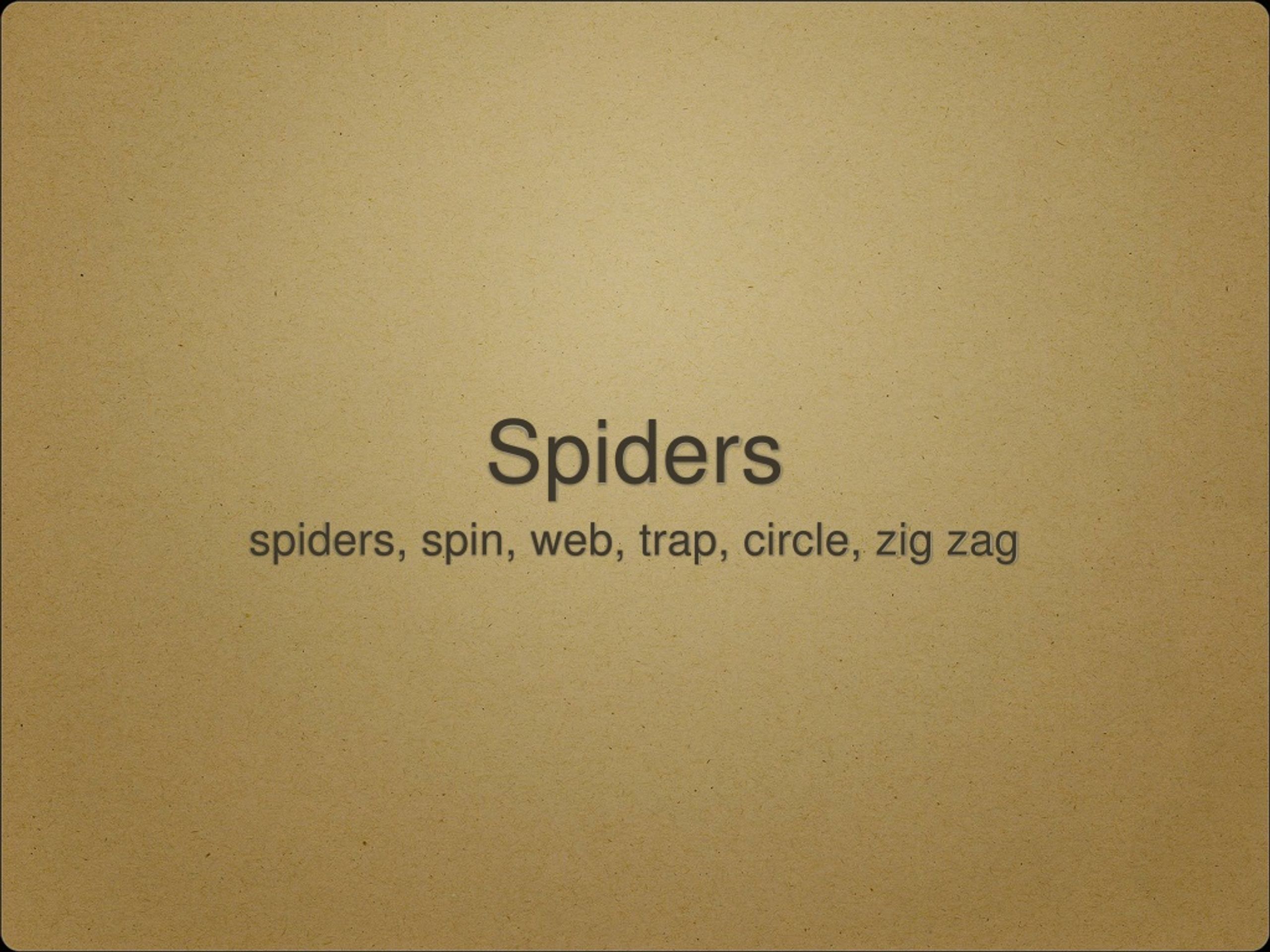 PPT - Spiders PowerPoint Presentation, free download - ID:1028469