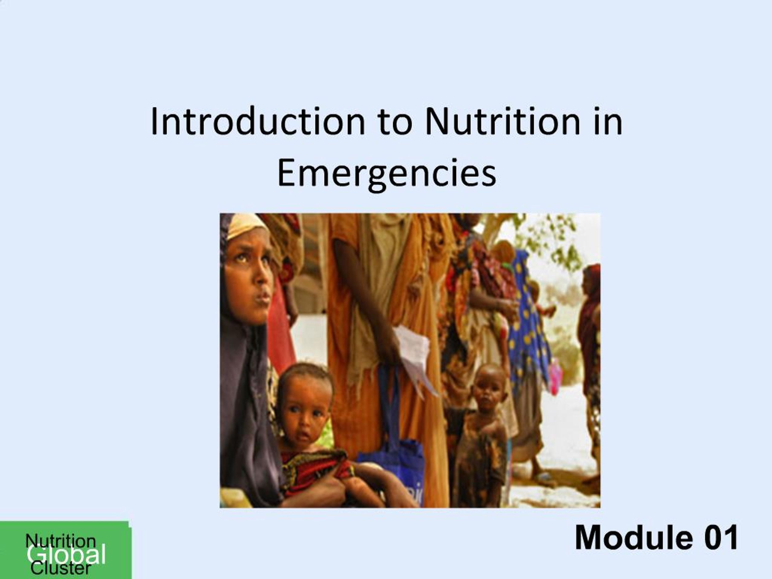 PPT - Introduction to Nutrition in Emergencies PowerPoint Presentation ...