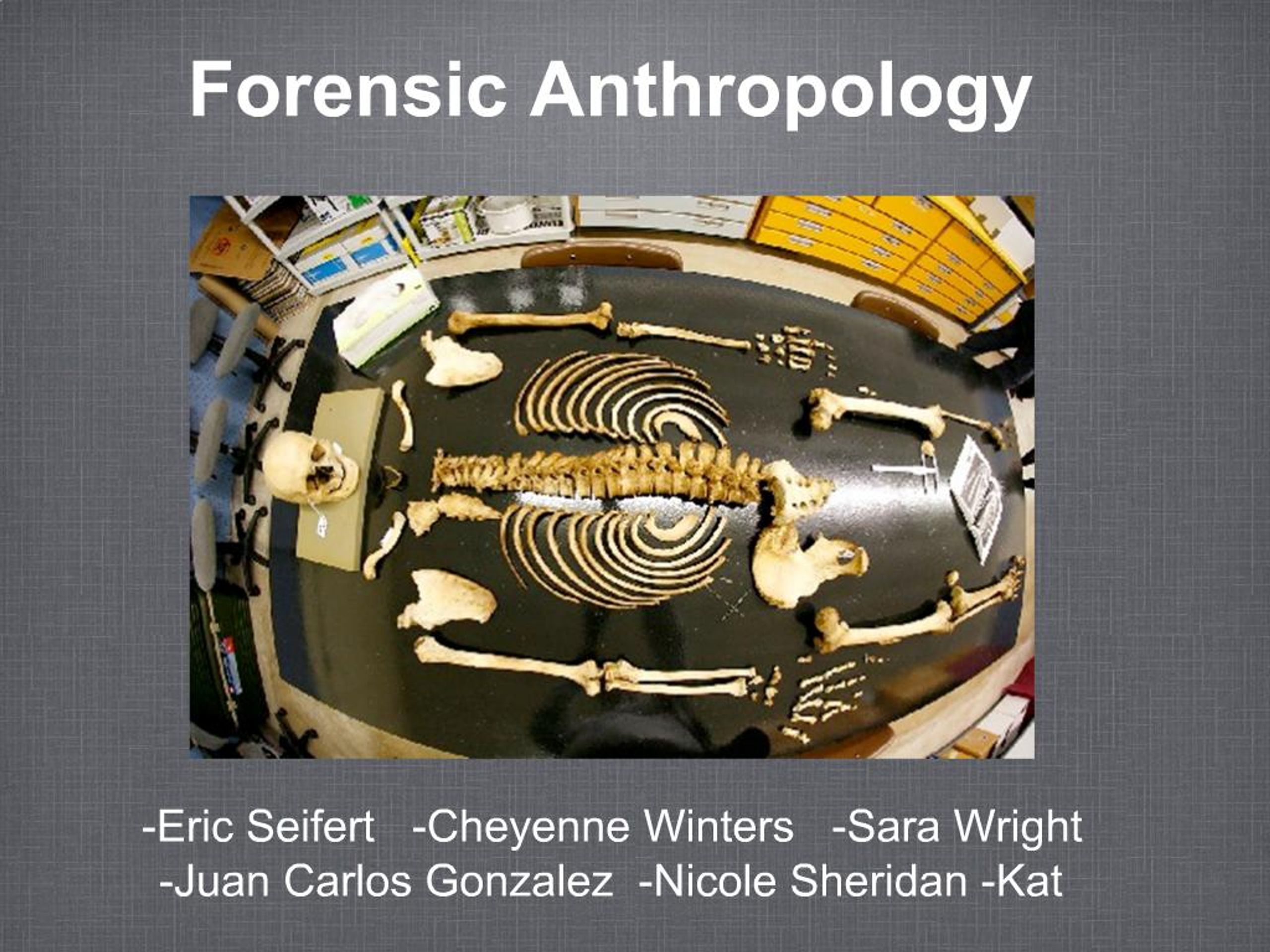 PPT - Forensic Anthropology PowerPoint Presentation, free download - ID ...