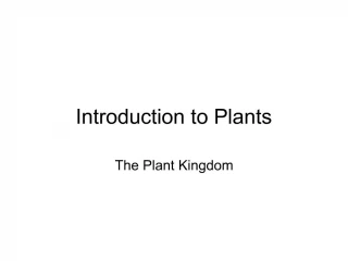 PPT - Introduction to Plants PowerPoint Presentation, free download ...