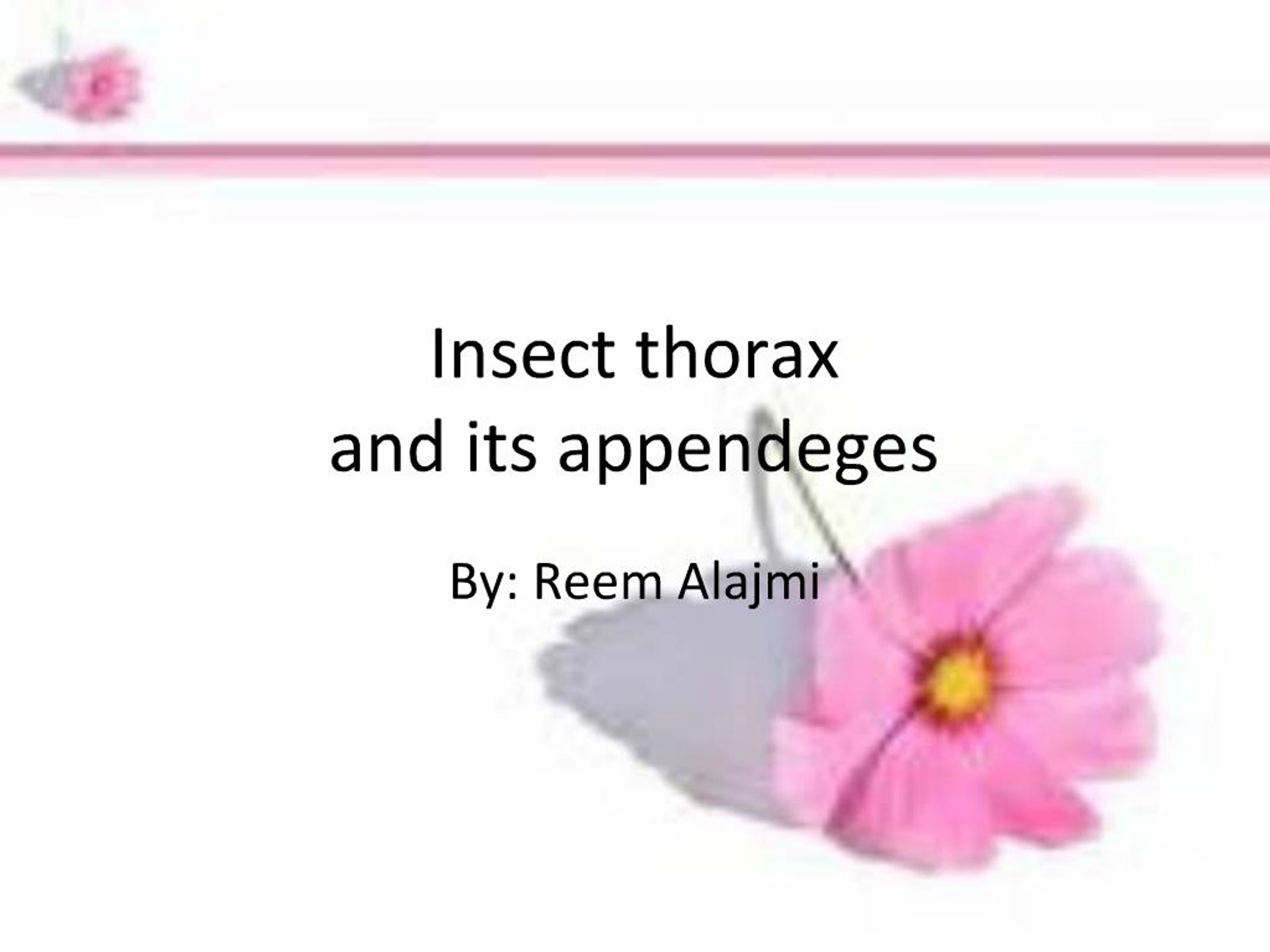 PPT - Insect thorax and its appendeges PowerPoint Presentation, free ...