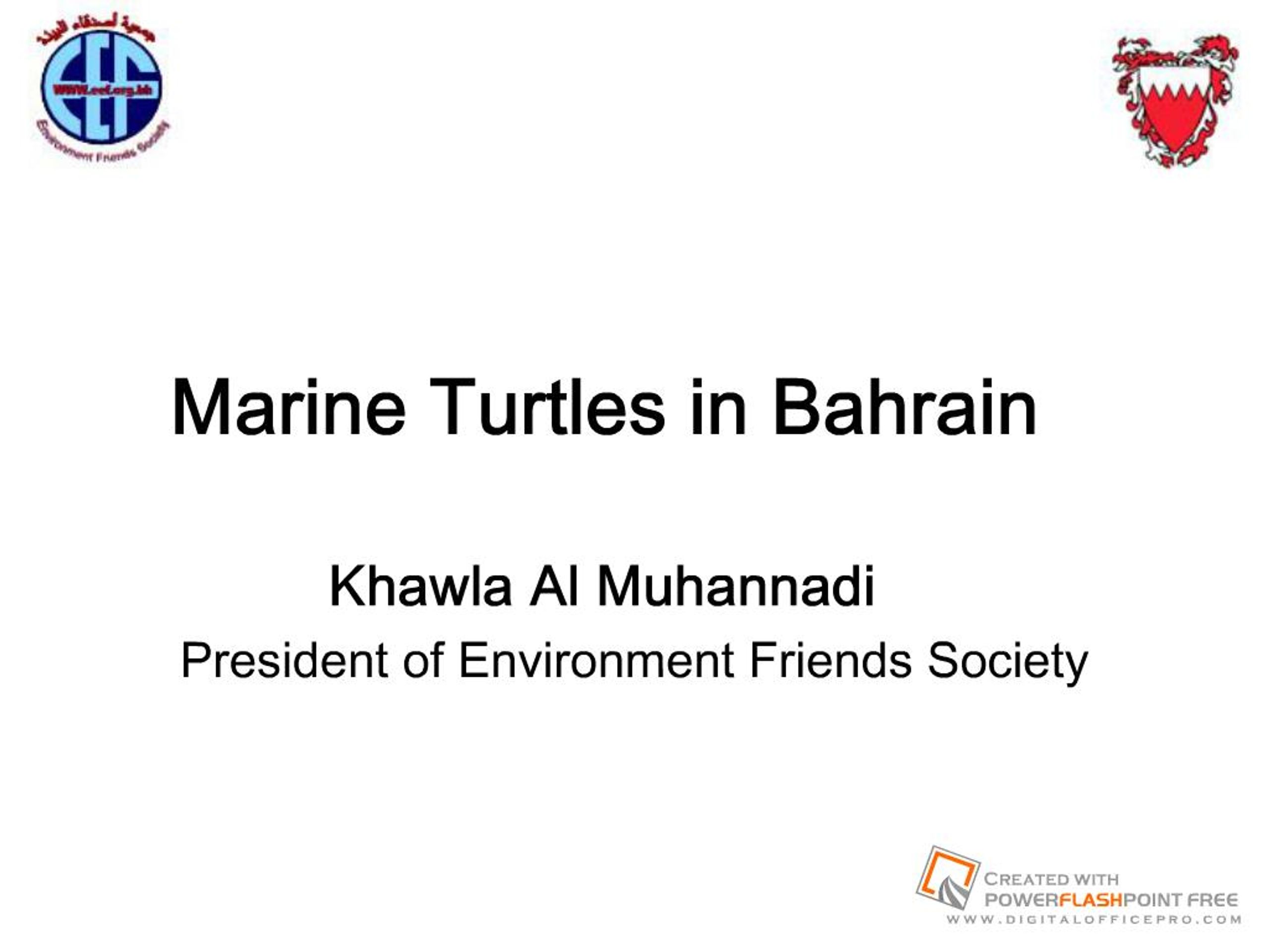 PPT - Marine Turtles in Bahrain PowerPoint Presentation, free download ...