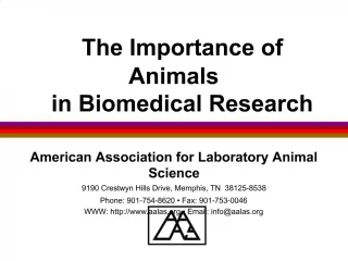 PPT - IMPORTANCE OF RESEARCH PowerPoint Presentation, free download ...
