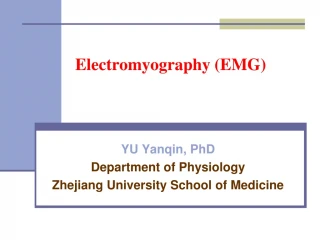 PPT - Electromyography (EMG) PowerPoint Presentation, free download ...