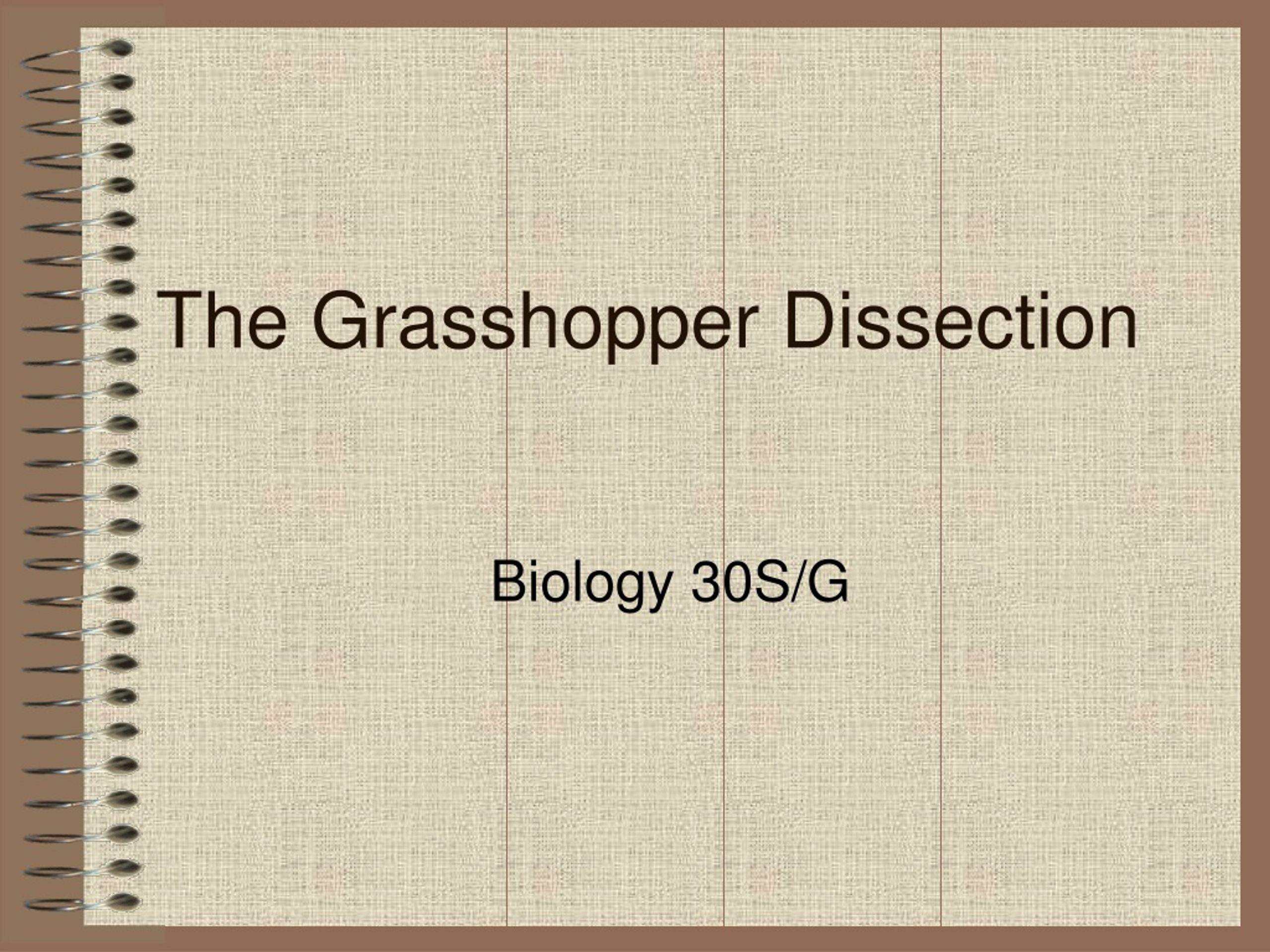 PPT - The Grasshopper Dissection PowerPoint Presentation, free download ...