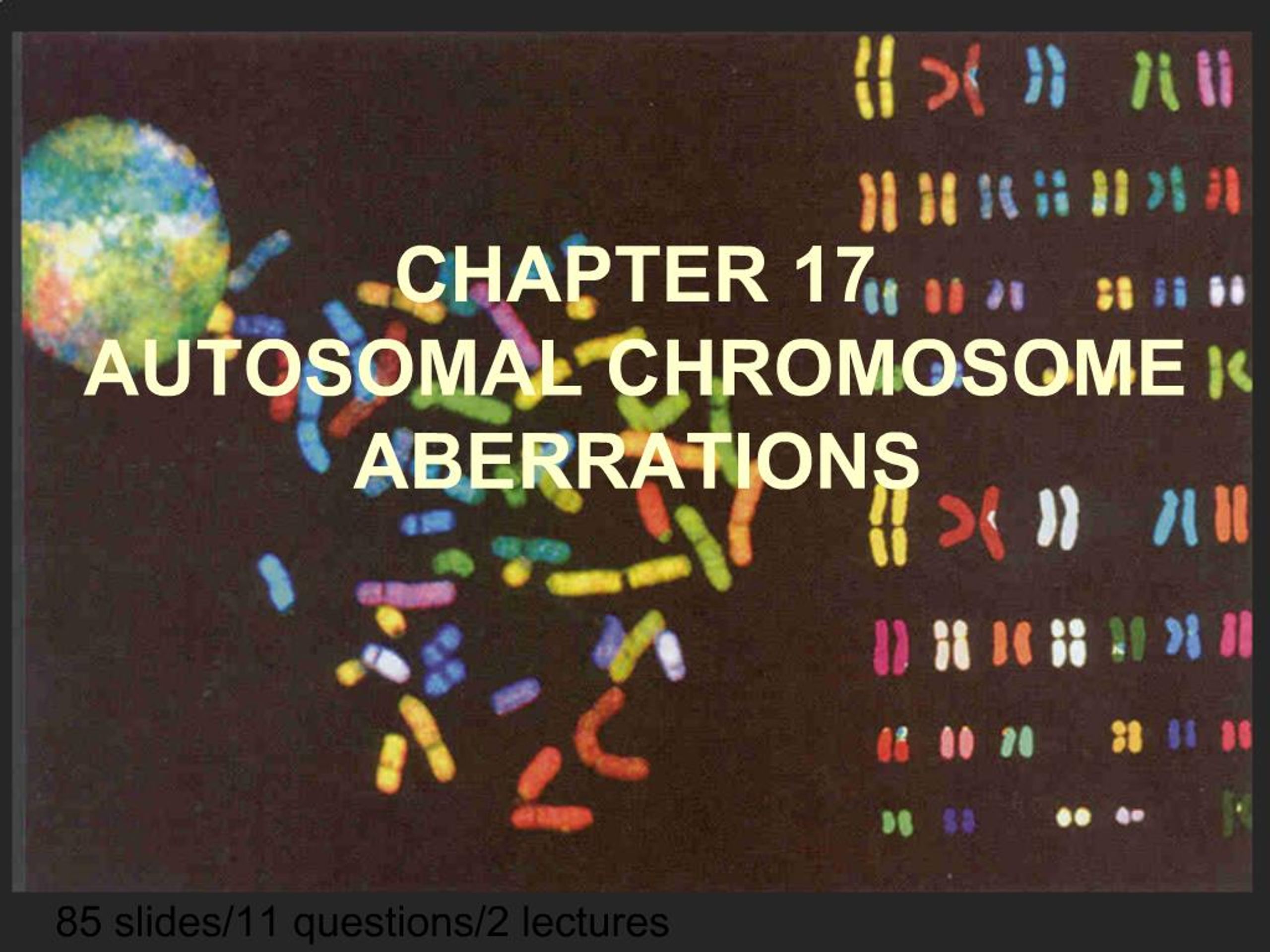 PPT - CHAPTER 17 AUTOSOMAL CHROMOSOME ABERRATIONS PowerPoint ...