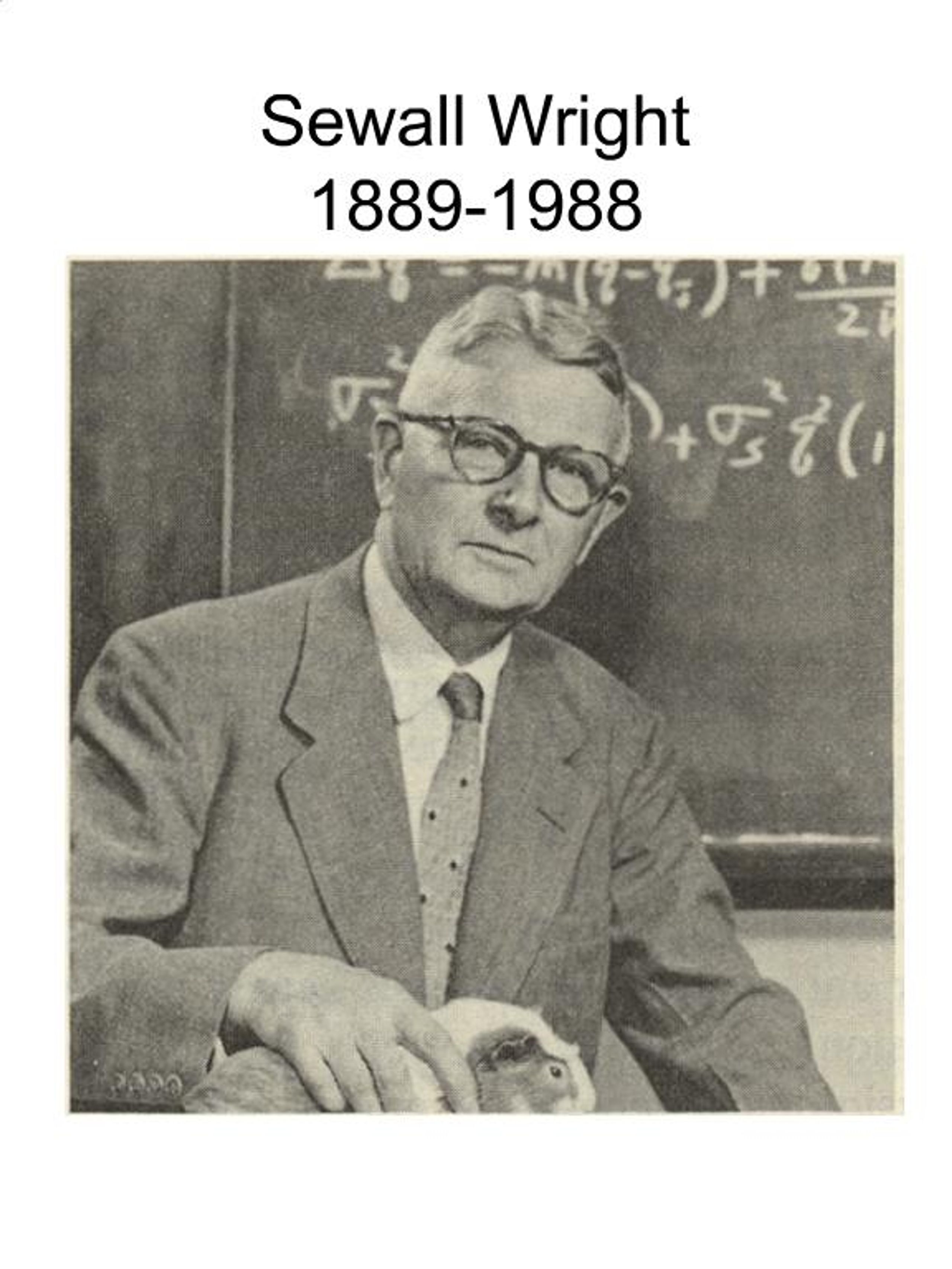 PPT - Sewall Wright 1889-1988 PowerPoint Presentation, free download ...
