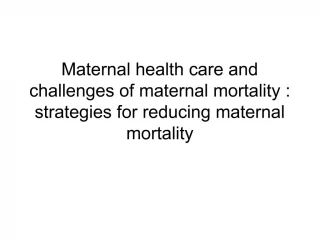 PPT - Maternal Mortality PowerPoint Presentation, free download - ID ...