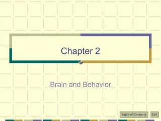 PPT - Chapter 2 Brain and Behavior PowerPoint Presentation, free ...