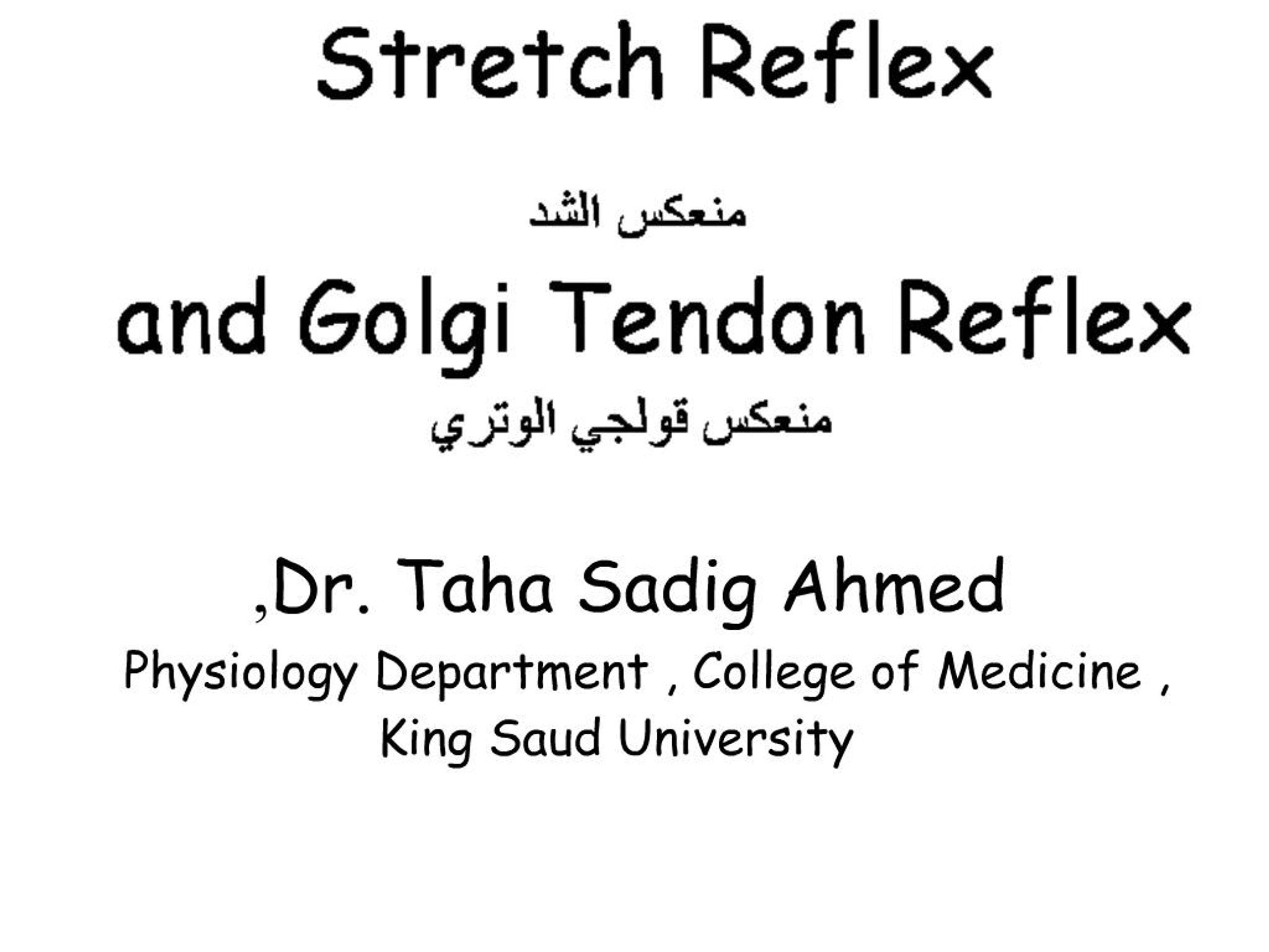 PPT - Stretch Reflex and Golgi Tendon Reflex PowerPoint Presentation ...