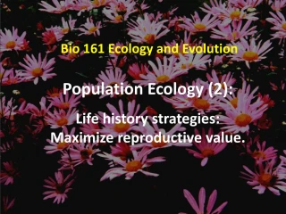 PPT - Ecology and Evolution PowerPoint Presentation, free download - ID ...