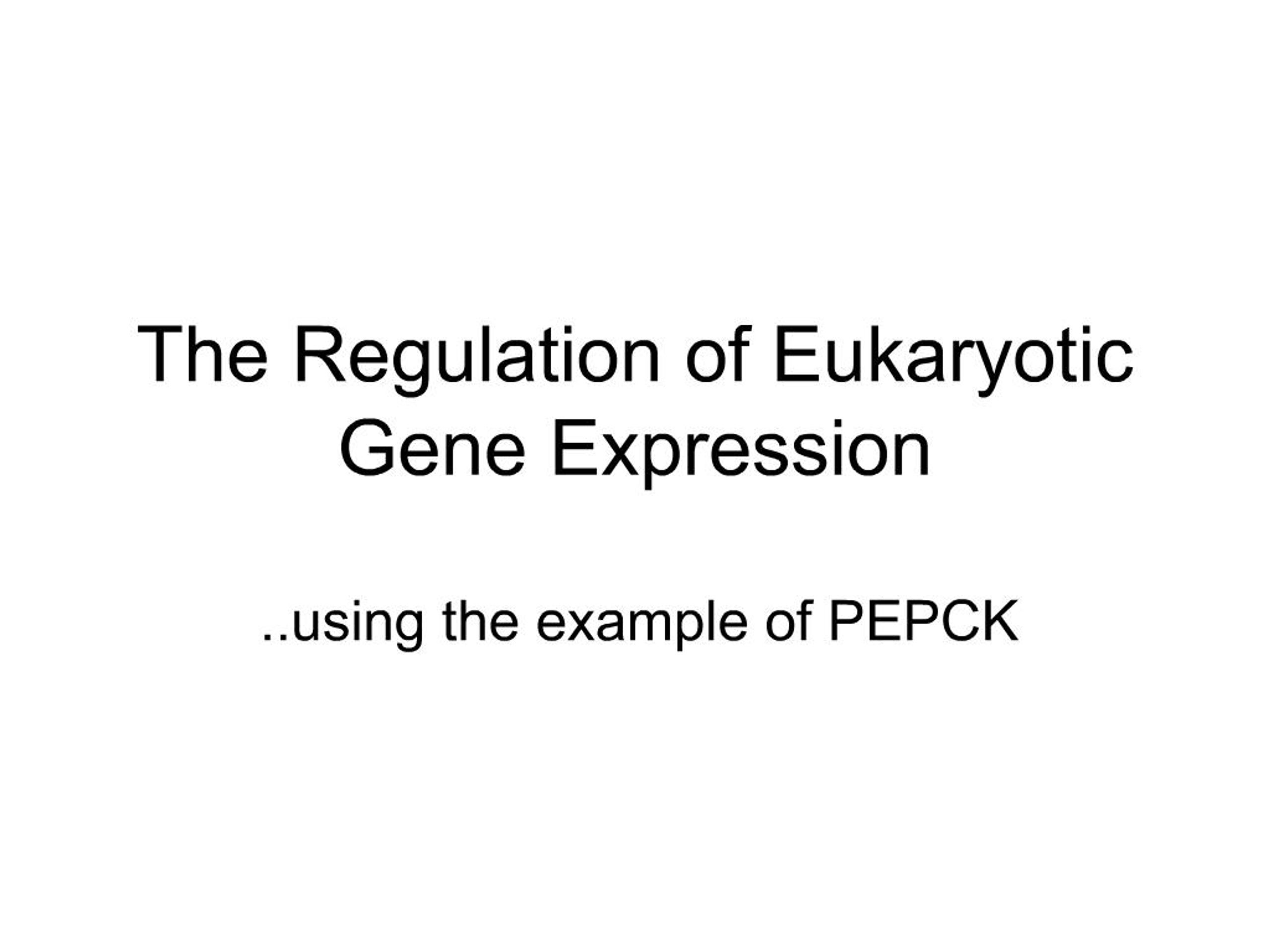 PPT - The Regulation of Eukaryotic Gene Expression PowerPoint ...