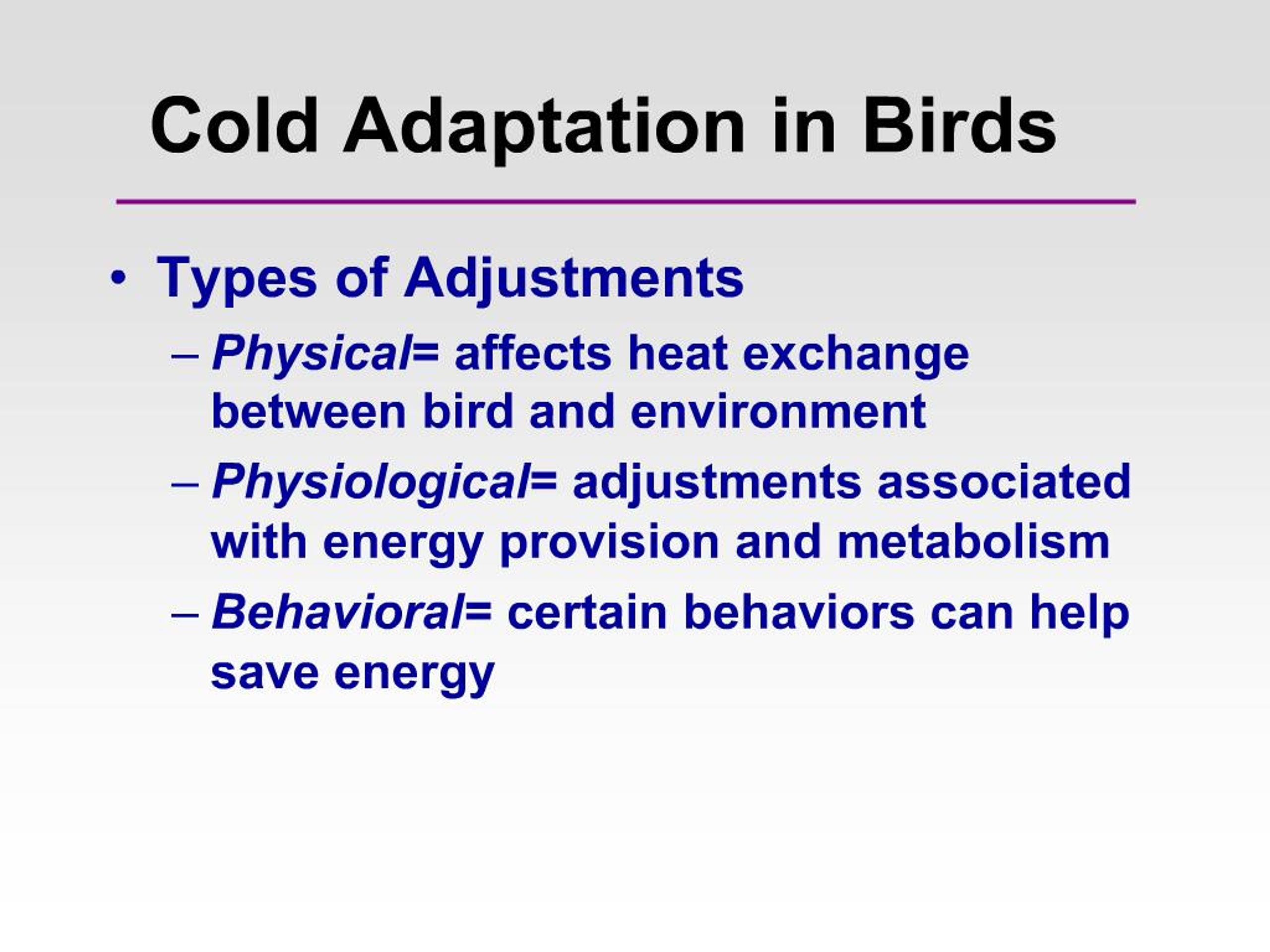 PPT - Cold Adaptation in Birds: Feathers' Role PowerPoint Presentation ...