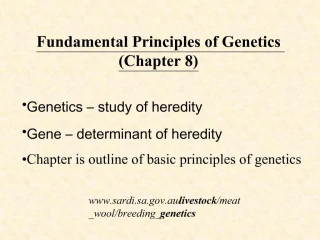 PPT - Fundamental Principles of Genetics PowerPoint Presentation, free ...