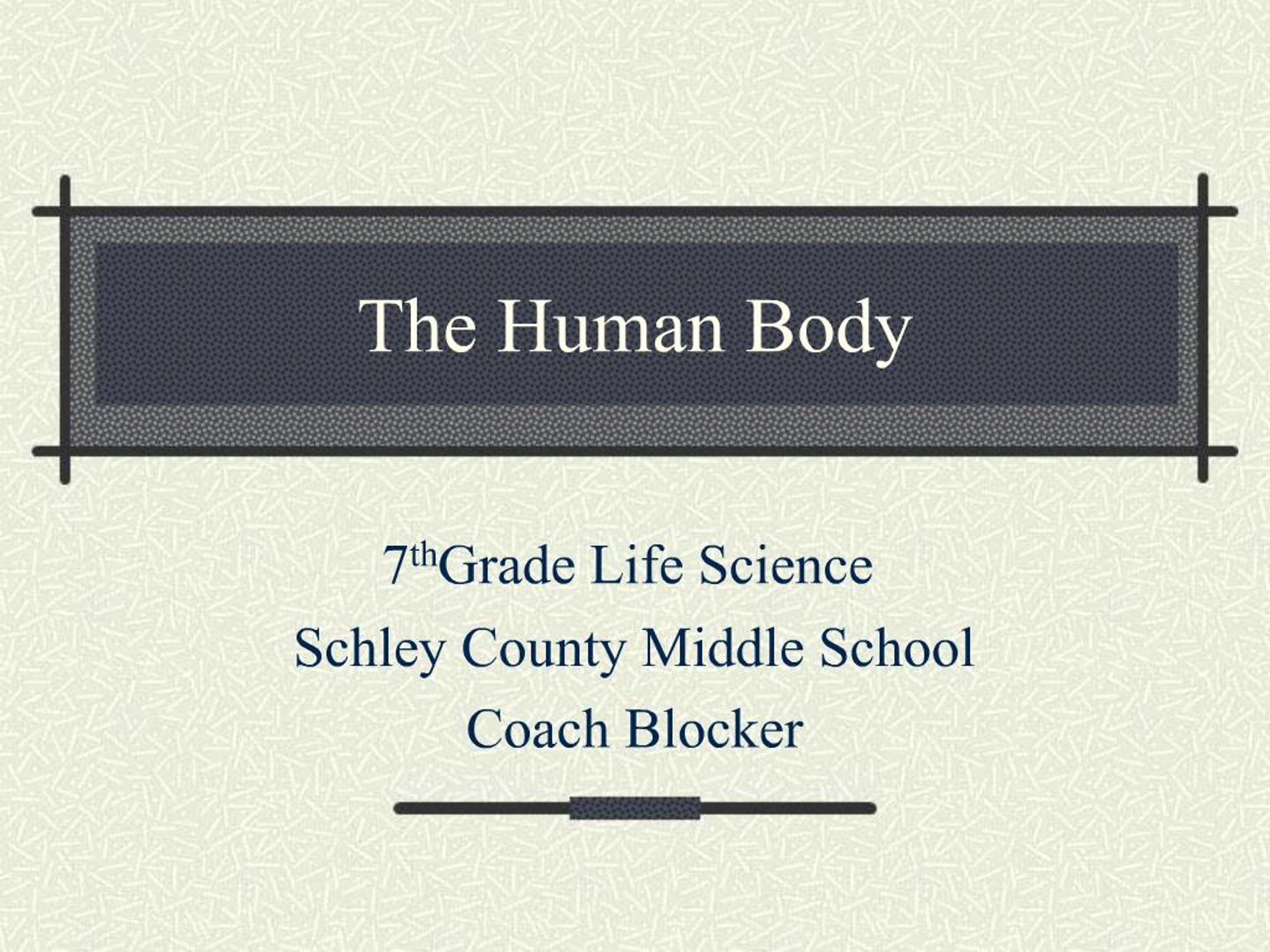 PPT - The Human Body PowerPoint Presentation, free download - ID:1119092