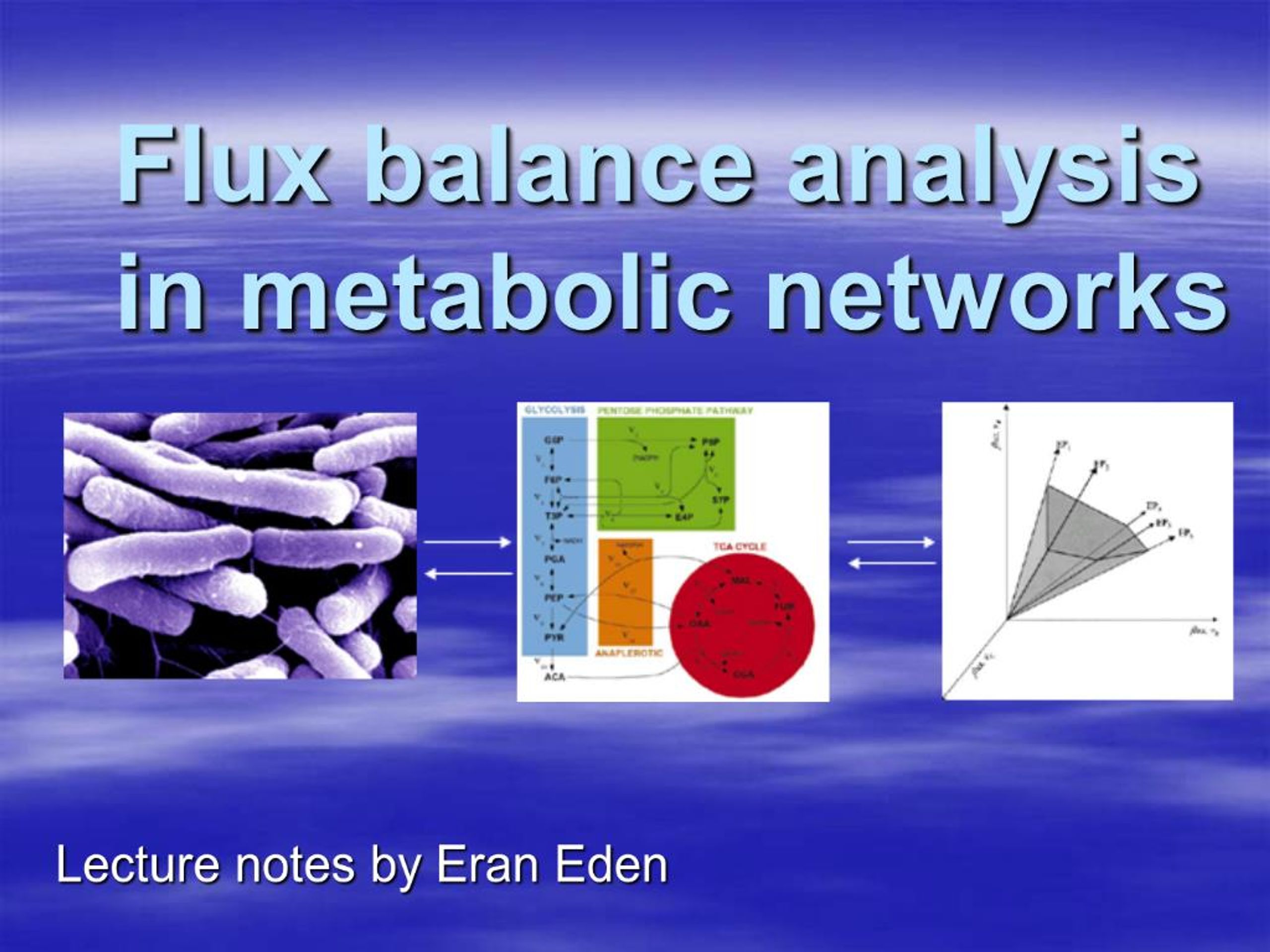PPT - Flux balance analysis in metabolic networks PowerPoint ...