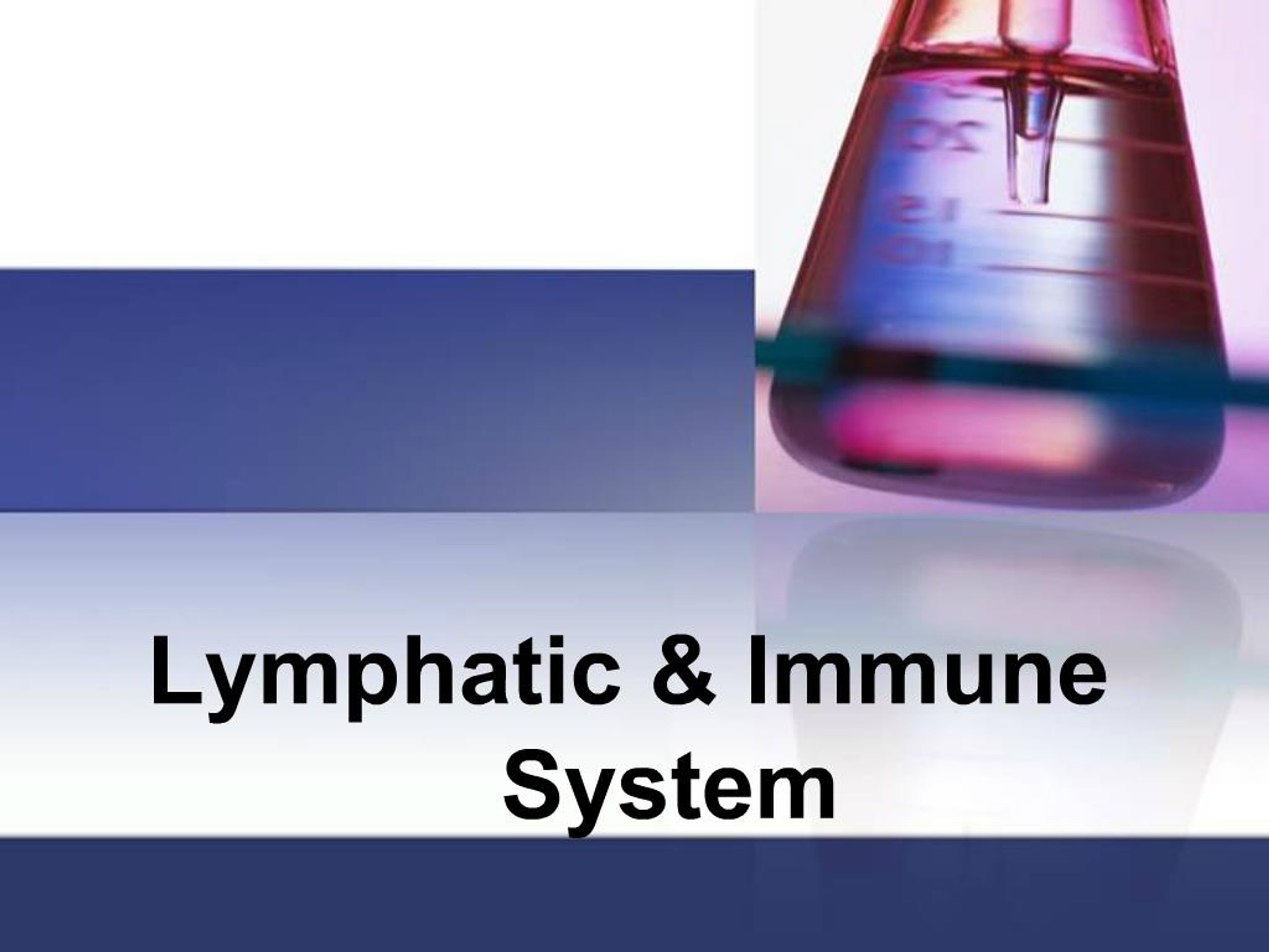 PPT - Lymphatic Immune System PowerPoint Presentation, free download ...