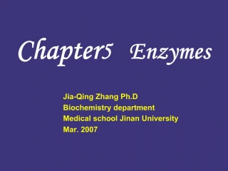 PPT - Chapter 6 Enzymes PowerPoint Presentation, free download - ID:5143485