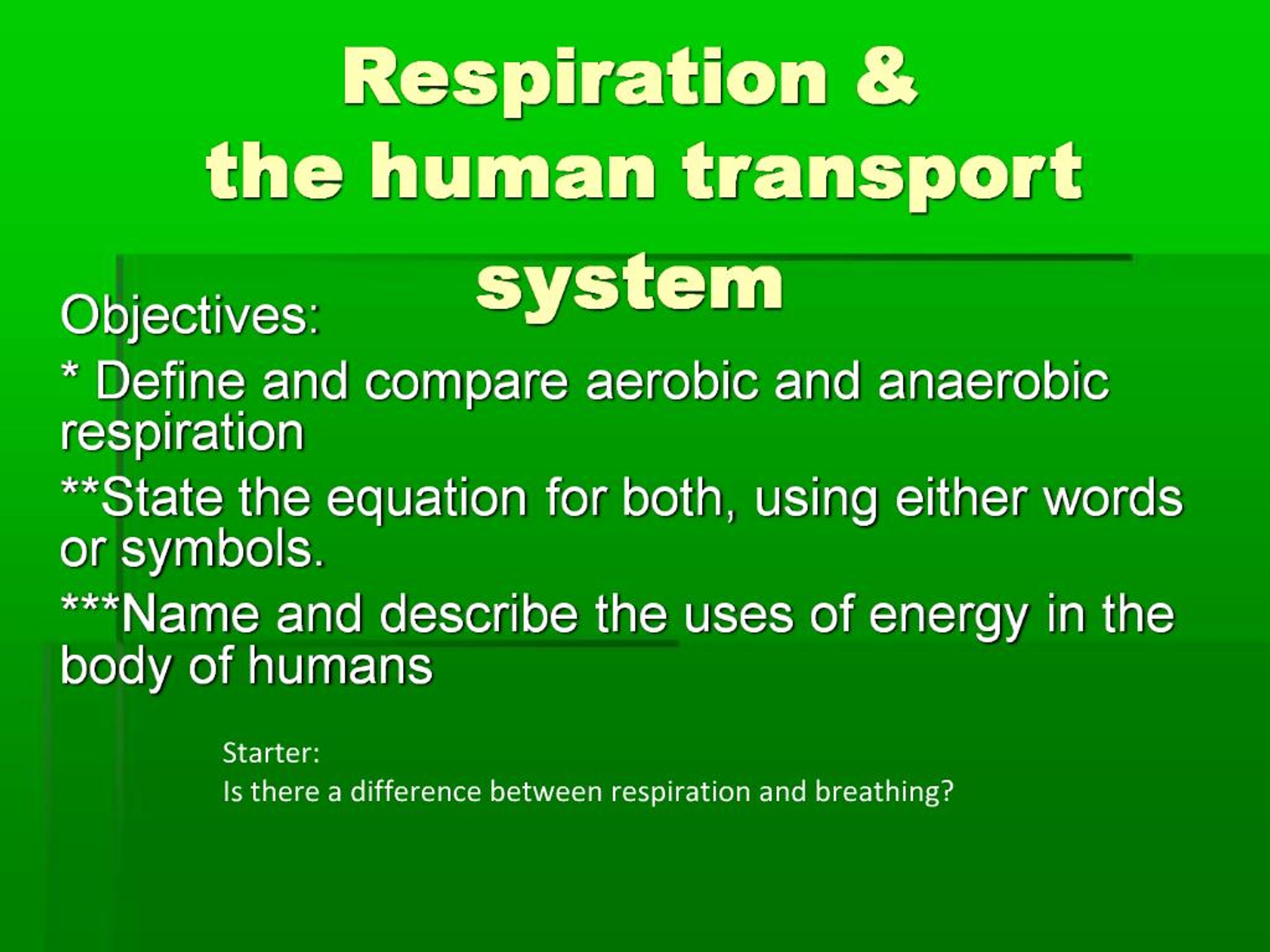 PPT - Respiration the human transport system PowerPoint Presentation ...