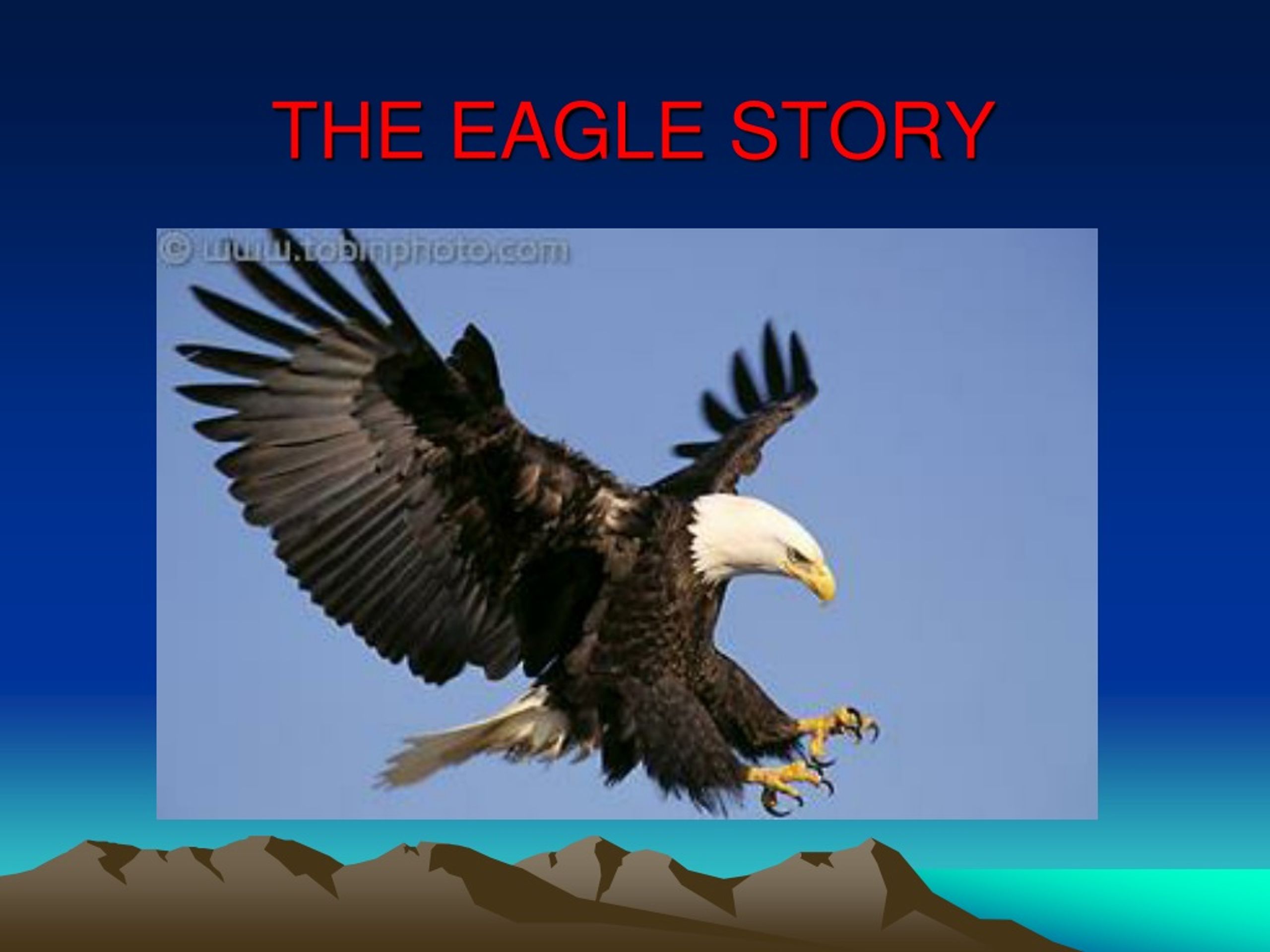 PPT - The Eagle Story PowerPoint Presentation, free download - ID:1149086