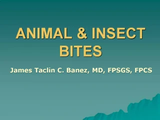PPT - Approach to animal bites PowerPoint Presentation, free download ...