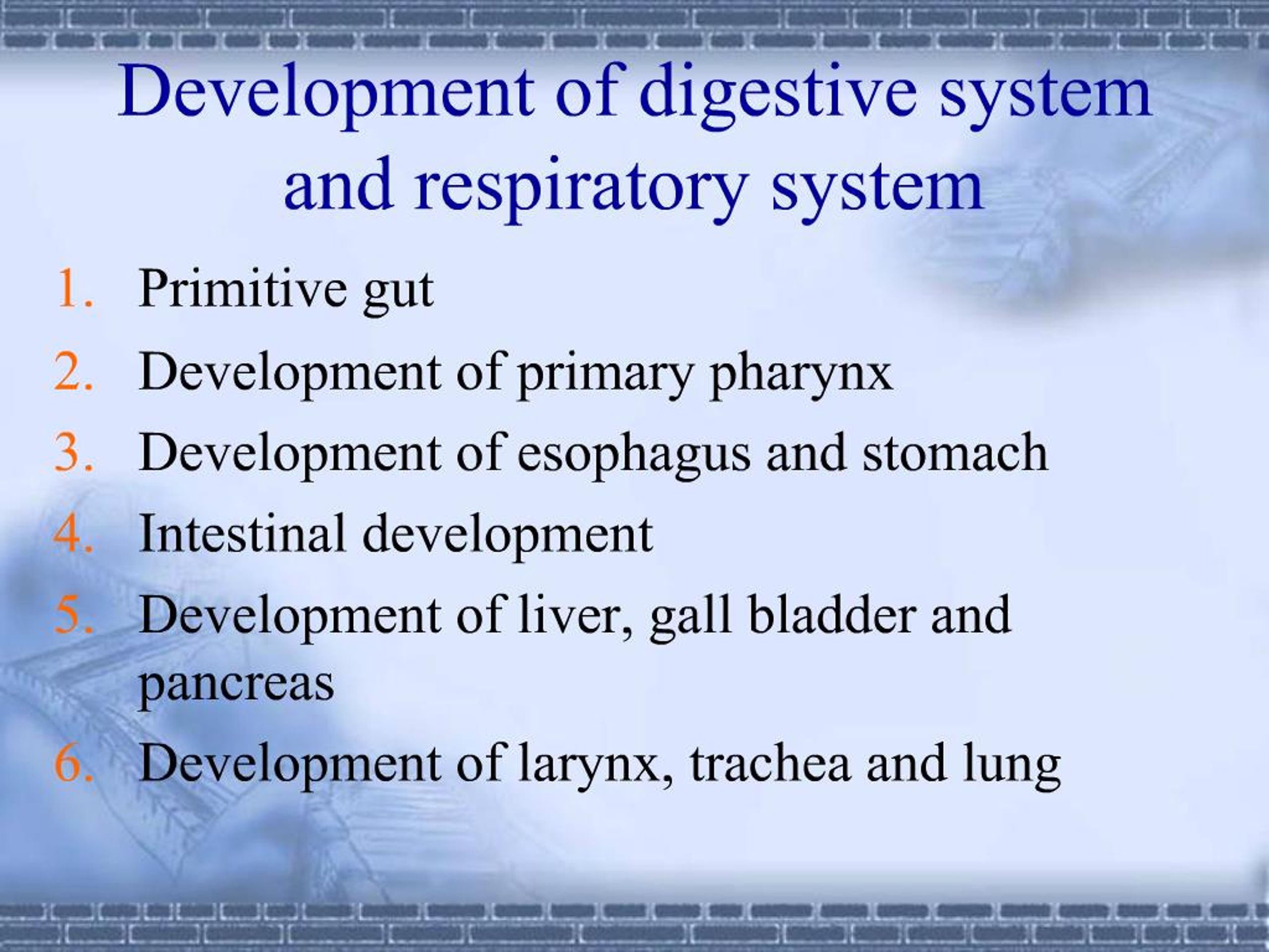 PPT - Development of digestive system and respiratory system PowerPoint ...