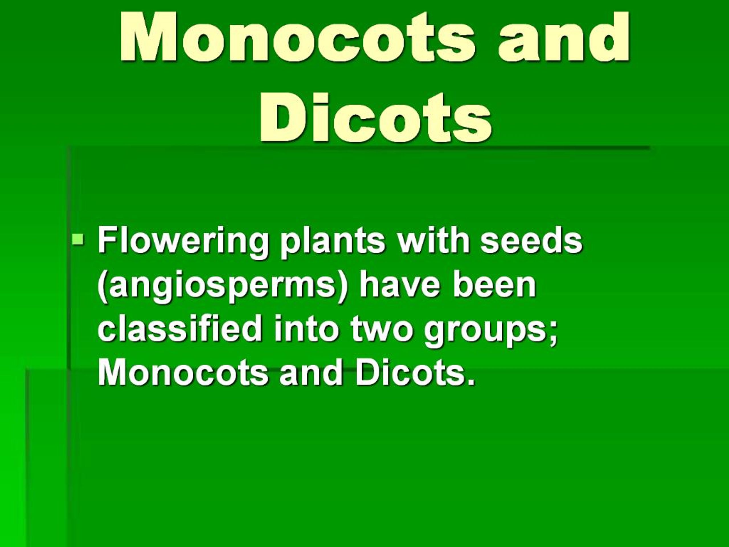 PPT - Monocots and Dicots PowerPoint Presentation, free download - ID ...