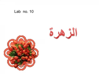 PPT - Lab 10- Colony isolation PowerPoint Presentation, free download ...