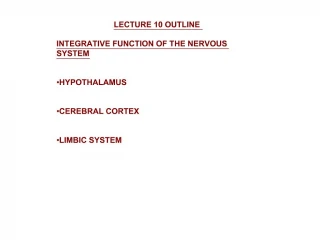 PPT - Integrative Function of the Nervous System PowerPoint ...