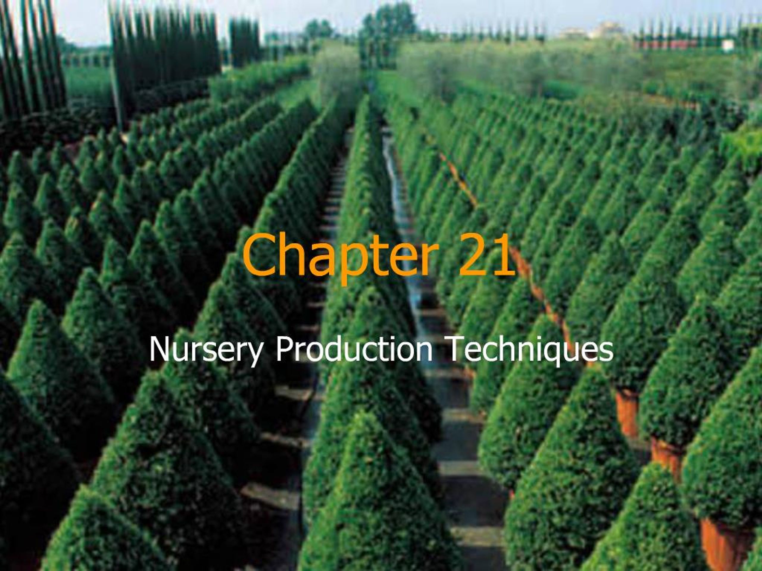 PPT - Nursery Production Techniques PowerPoint Presentation, free ...