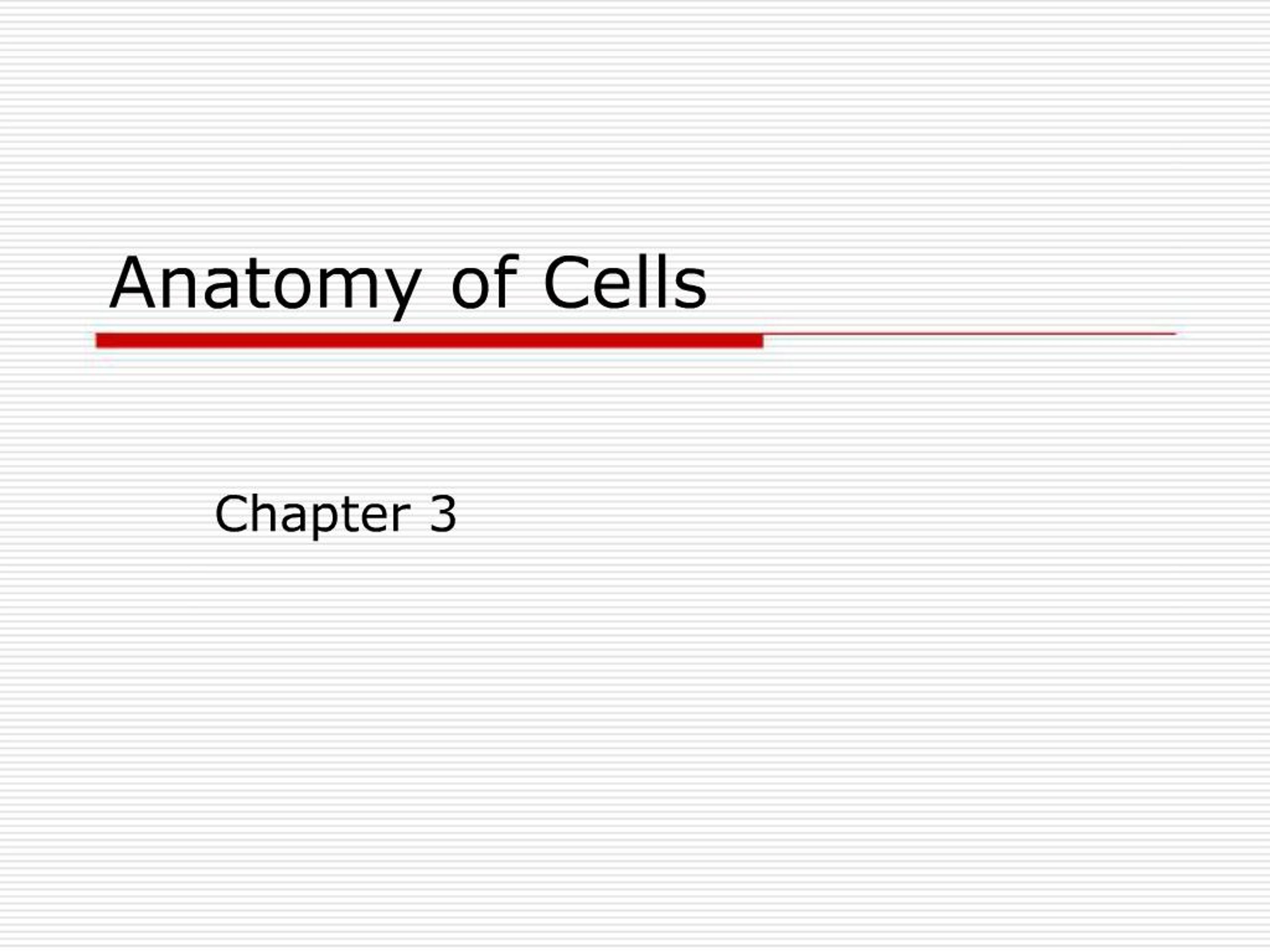 PPT - Anatomy of Cells PowerPoint Presentation, free download - ID:1165617