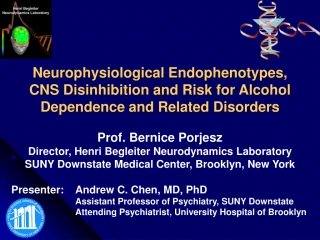 PPT - Neurodynamics PowerPoint Presentation, free download - ID:3668764