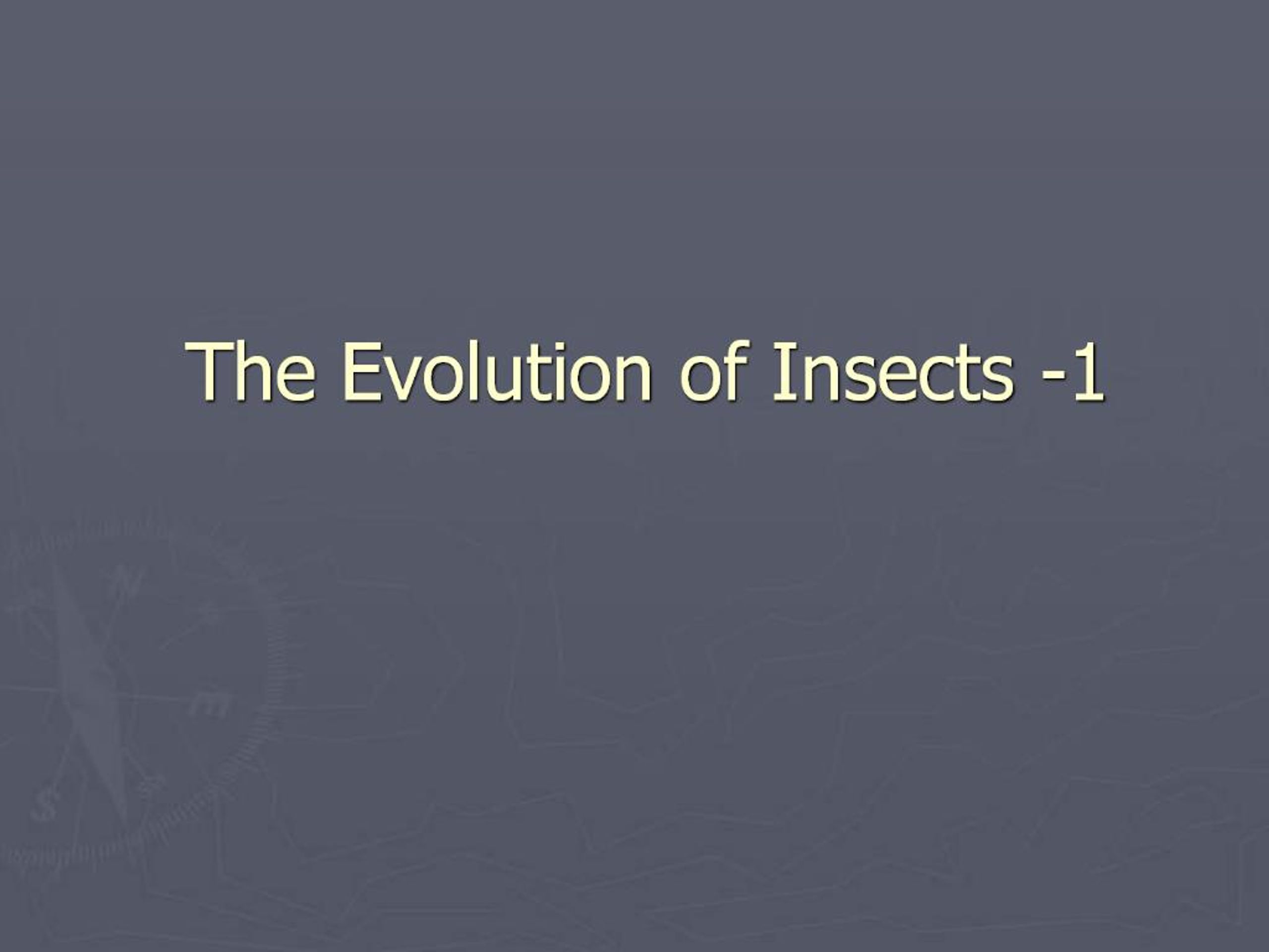 PPT - The Evolution of Insects -1 PowerPoint Presentation, free ...
