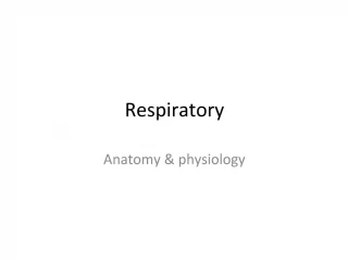 PPT - Respiratory Calculations PowerPoint Presentation, free download ...
