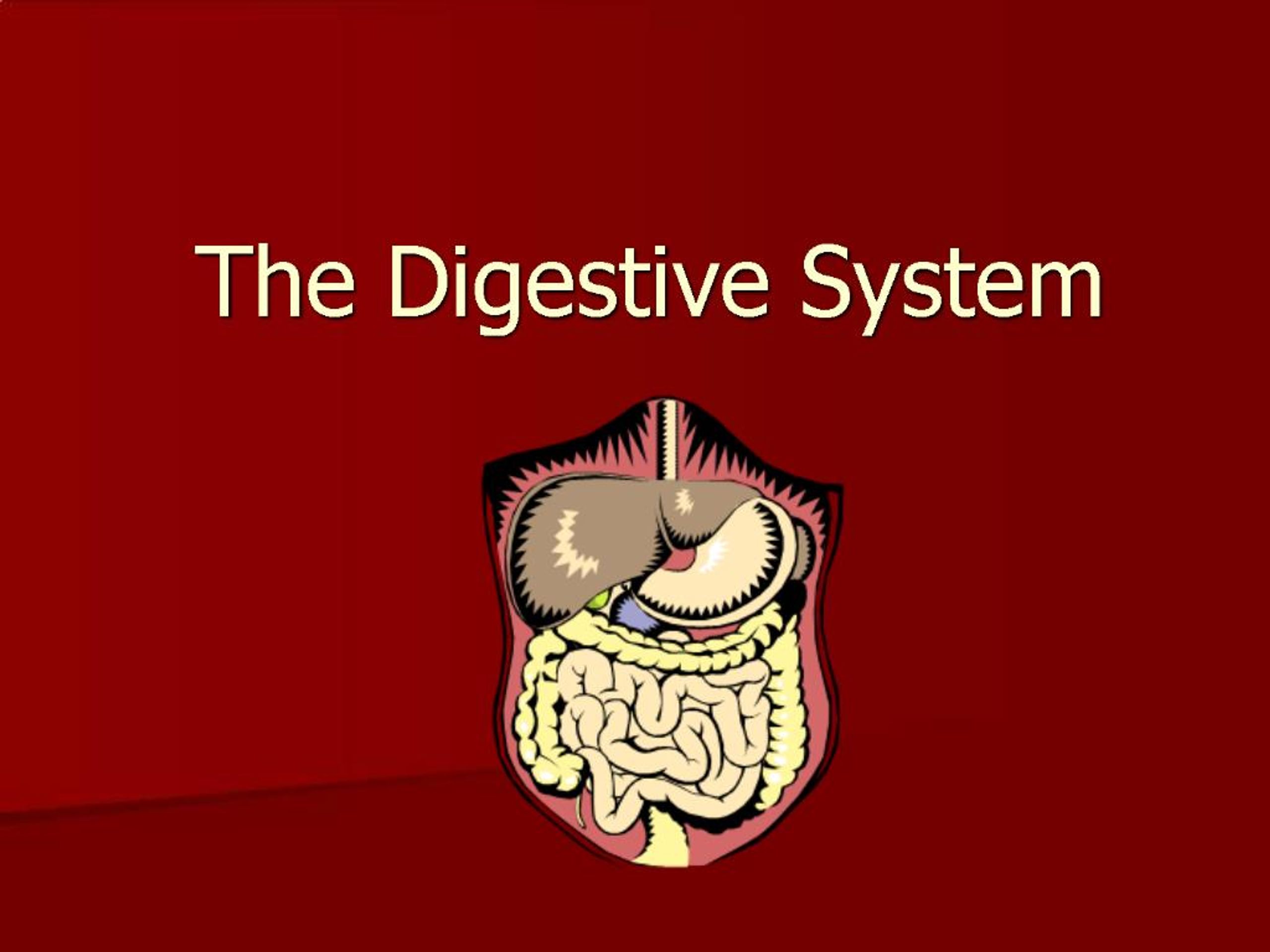 PPT - The Digestive System PowerPoint Presentation, free download - ID ...