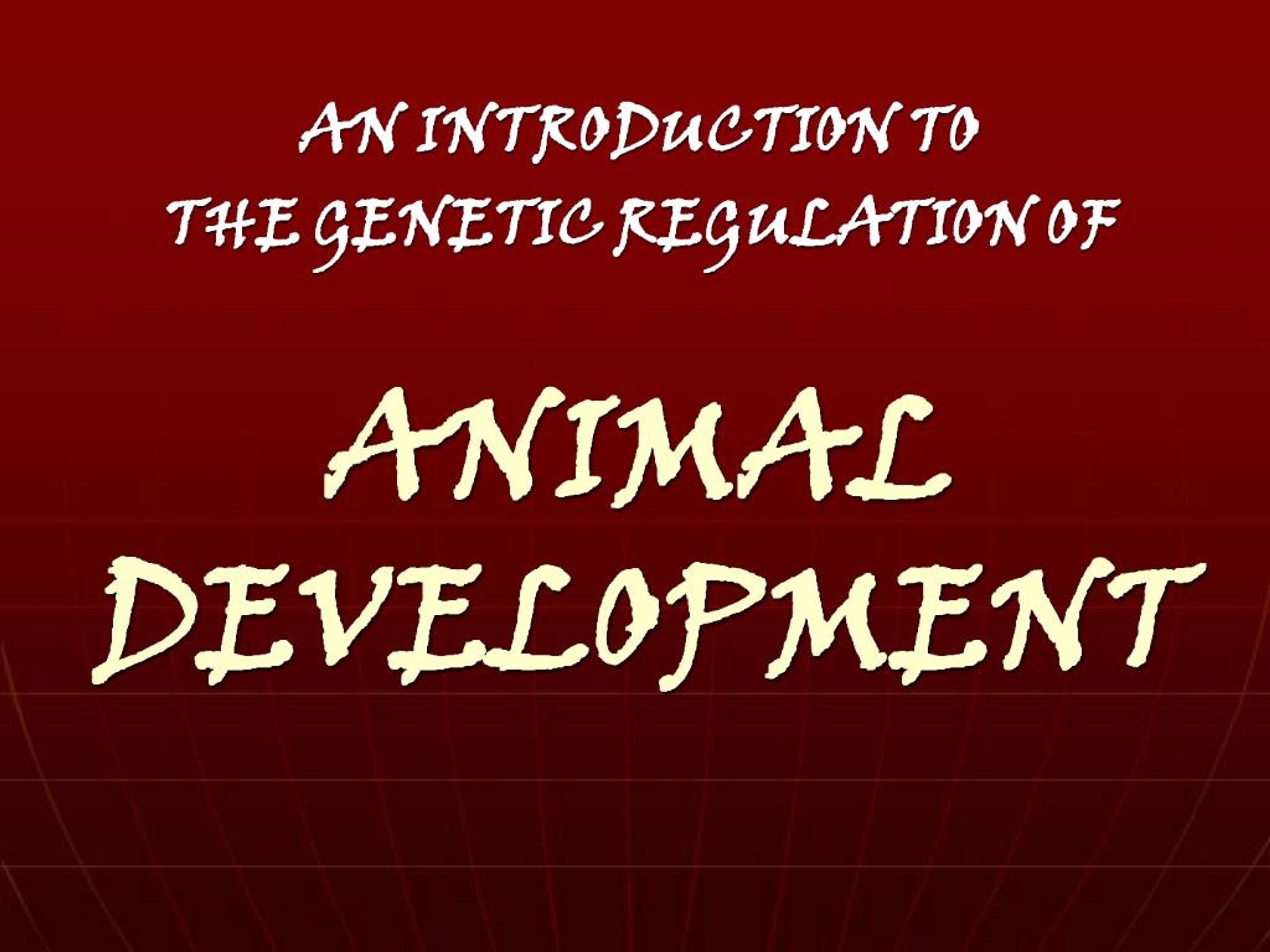 PPT - ANIMAL DEVELOPMENT PowerPoint Presentation, free download - ID ...