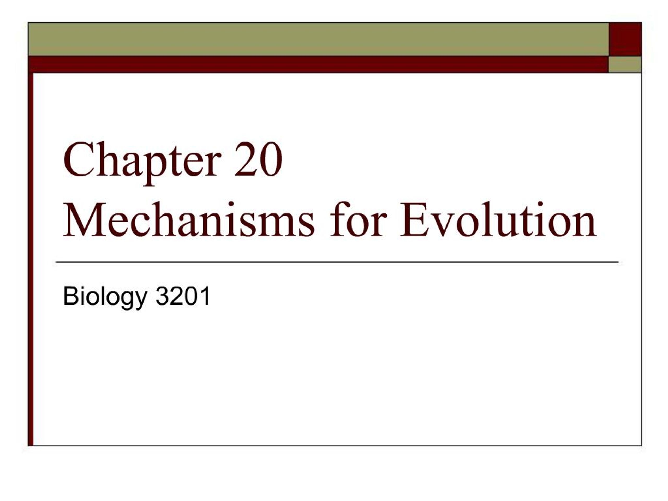 PPT - Chapter 20 Mechanisms for Evolution PowerPoint Presentation, free ...