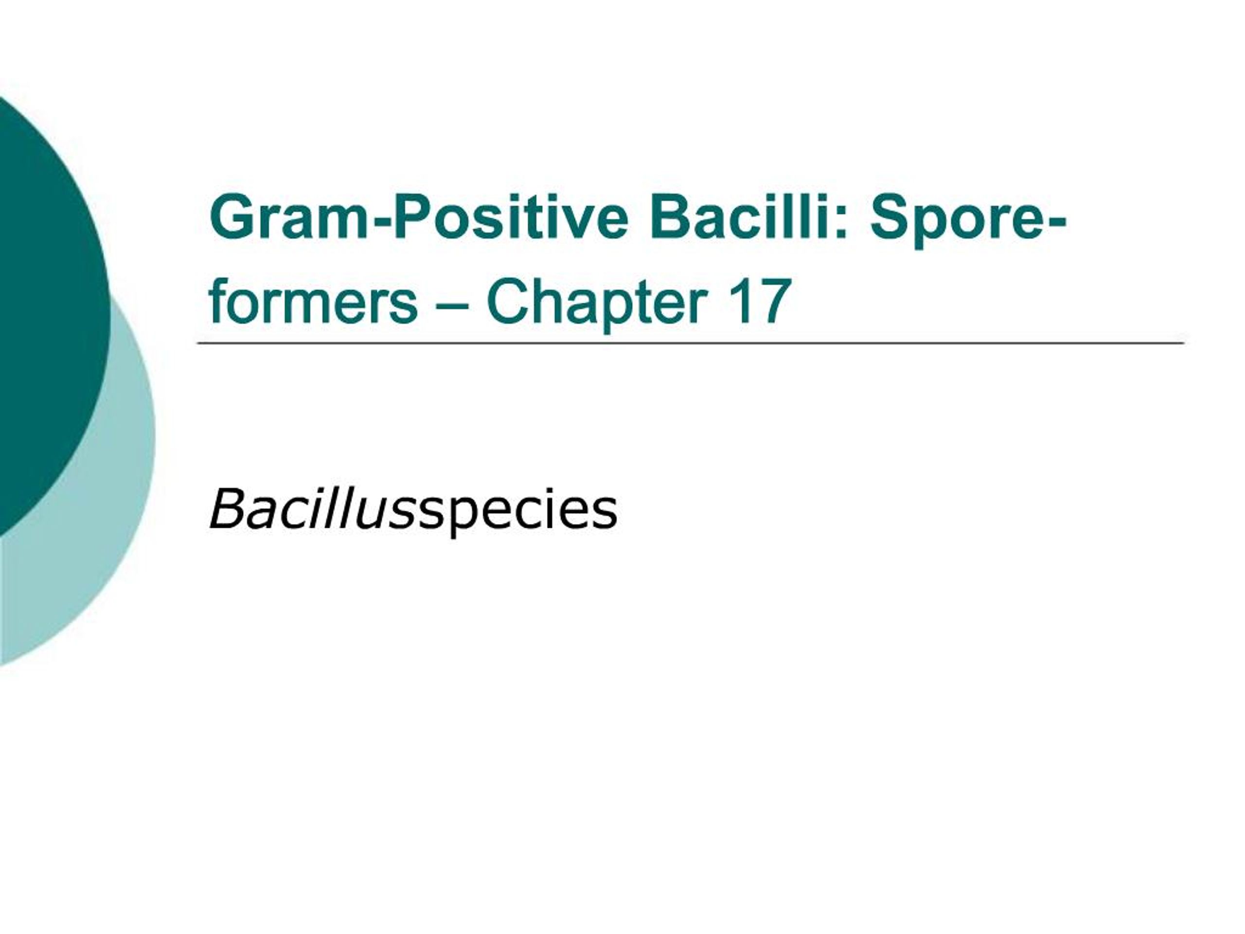 PPT - Gram-Positive Bacilli: Spore-formers Chapter 17 PowerPoint ...