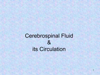 PPT - Cerebrospinal fluid PowerPoint Presentation, free download - ID ...
