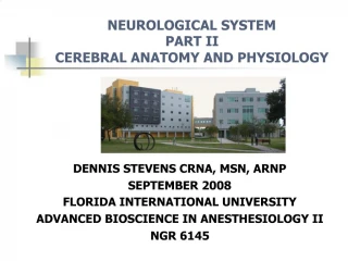 PPT - Neurosensory: Altered Cerebral Function and Increased ...