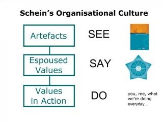 PPT - Schein’s Model of Organizational Culture PowerPoint Presentation ...