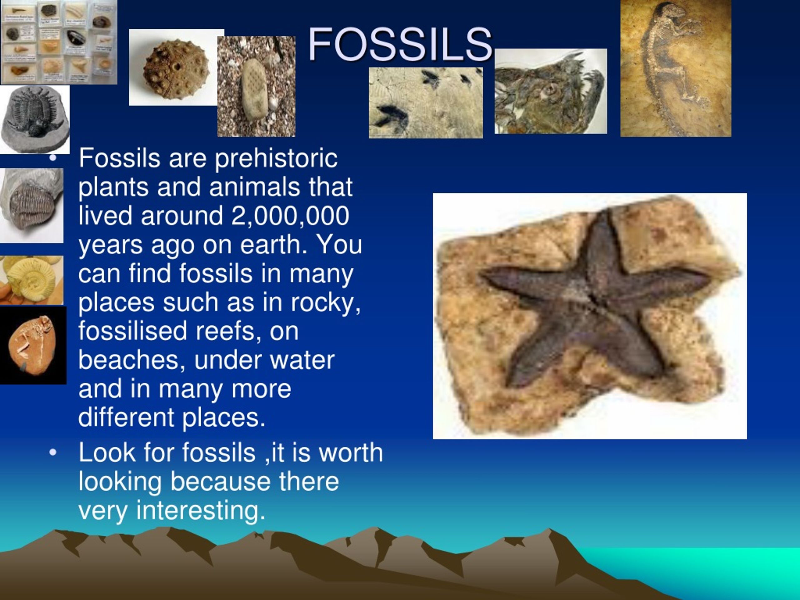 PPT - Fossils PowerPoint Presentation, free download - ID:1223388